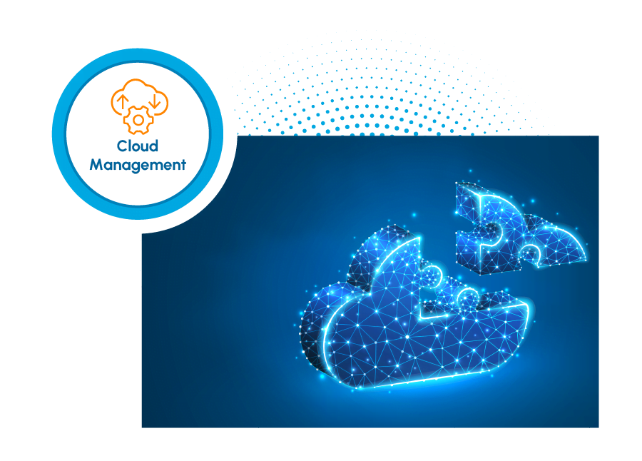 Managed Services | Delaplex